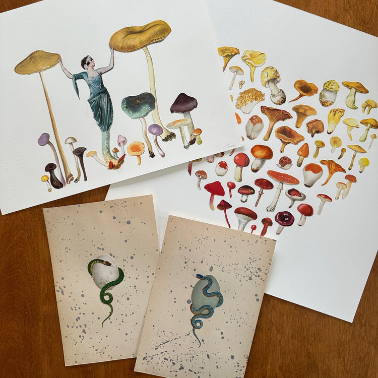 Amy Ross Prints – Nature Morph