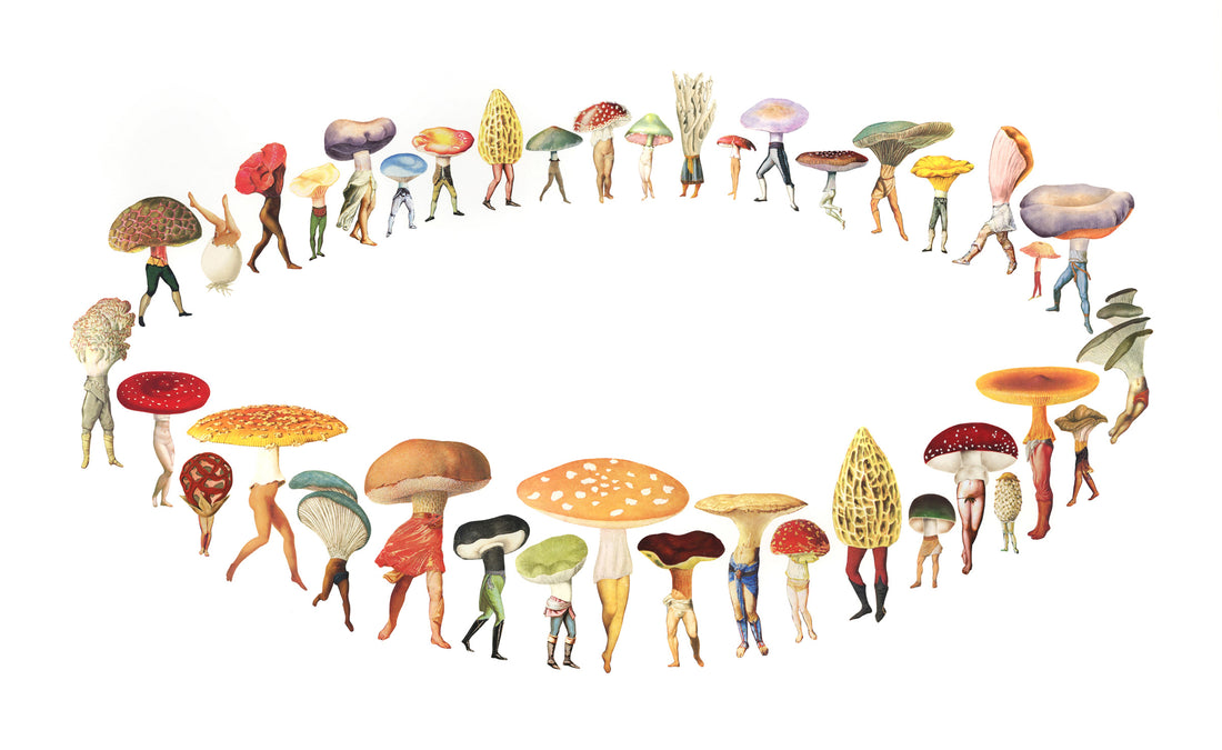 Amy Ross Prints – Amy Ross | Nature Morph